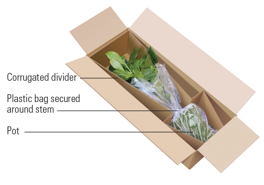 Flower Shipping Boxes - Custom Flower Shipping Packaging Wholesale